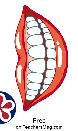 Brushing Teeth Activities Brushing Teeth Tooth Template