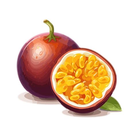 Premium Vector Passion Fruit Vector On White Background