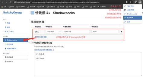 浏览器代理插件proxy switchyomega安装与使用 知乎