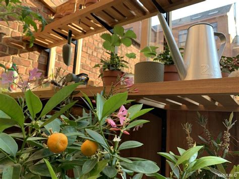 Juni In Je Tuin Dit Kan Je Nu Doen Gruun