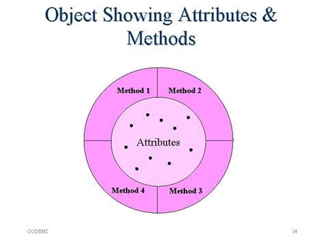 Chapter 11 Objectoriented Dbmss Chapter 27 28 Appendix