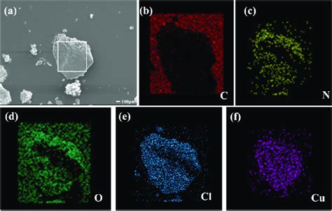 SEM Images And EDS Spectra Of ECCs 1 Download Scientific Diagram