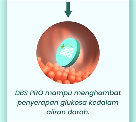 Dbs Official Terpercaya Aka Dro Id