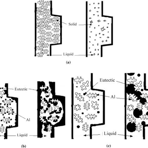 Illustration Of Solidification Patterns At An Early Stage And Later
