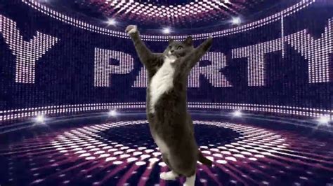 Cat Dances Like A Dancer Meme