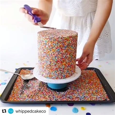 Video By Whippedcakeco ・・・ 100 Thousand Thanks A Hundreds And
