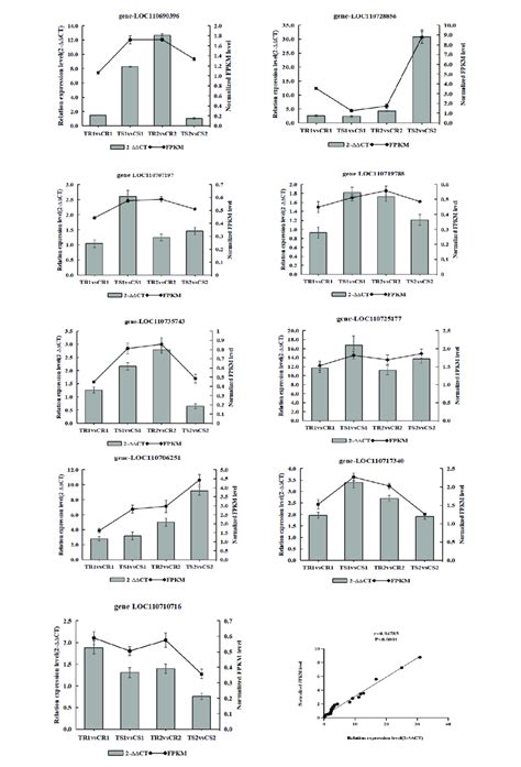 Verification Of The Rna Seq Results By Rt Qpcr Bars Represent The