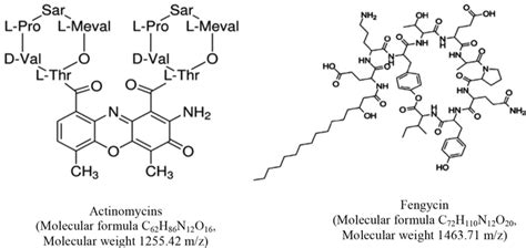 Structure Of Actinomycins And Fengycin Produced By Endophytic