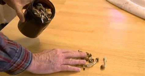 California Moves Toward Decriminalizing Psychedelics Cbs San Francisco