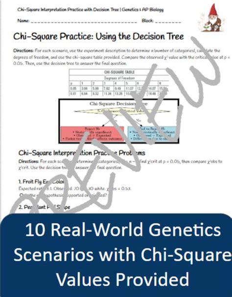 Chi Square Statistics Bundle Guided Notes Practice Problems Save 400
