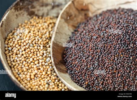 Brown And Yellow Mustard Seeds At Julian Lentini Blog