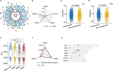 Genomic Introgression During The Breeding Of Chinese Indica And Chinese