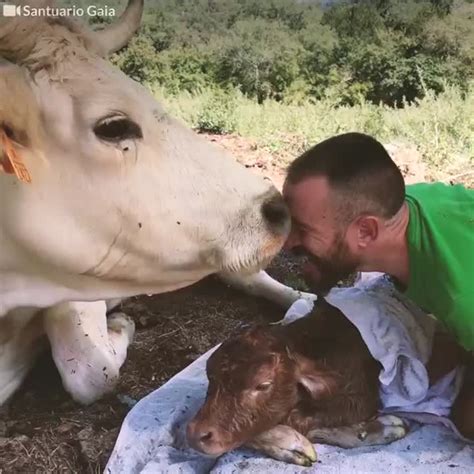 Bharat Patel Posted On Linkedin