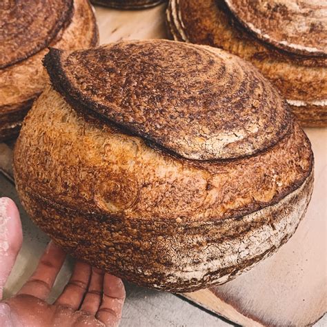 Return Of The Maslin It Never Went Away Loaf