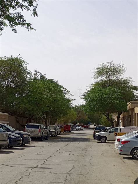 Green Trees Looked Nice And Cool Stock Image Image Of Trees Looked