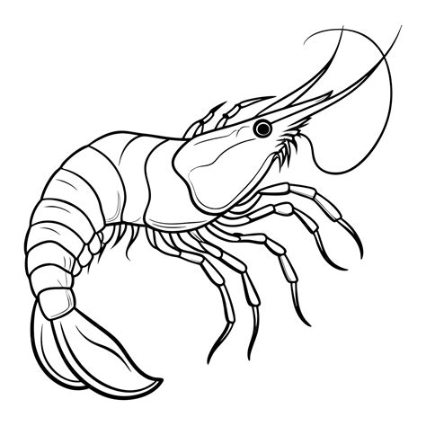 Premium Vector Chingri Prawnshrimp Fish Logo Vector Design Labeled