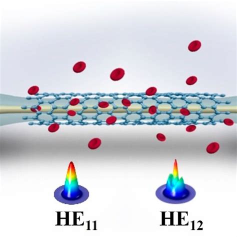 Schematic Diagram Of The Proposed Microfiber Based Hemoglobin Biosensor