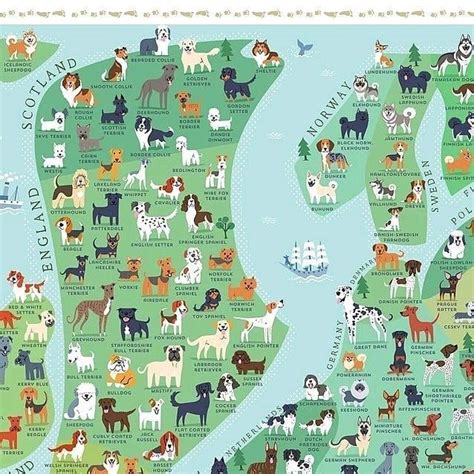 Mapa Ilustrado De Los Estados Unidos Con Perros Y Sus Nombres En Inglés