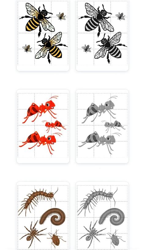 Pavasara Kustoņi Mācību Materiāli