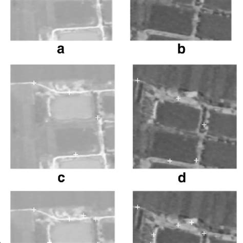 The Three Dimensional Expression Of Visual Saliency For Infrared Image Download Scientific