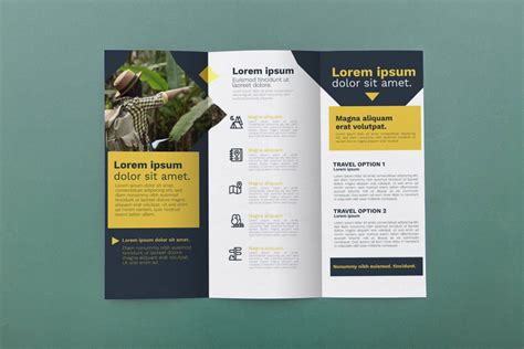 Brochure Design Assignments Bapu Graphics