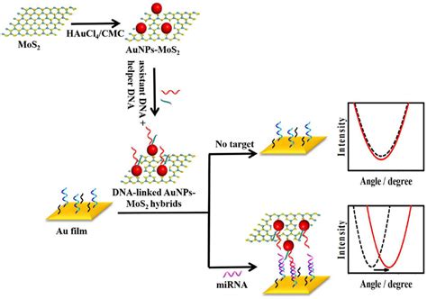 The Schematic Illustration Of The Spr Biosensor Based On The