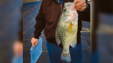 Kansas Angler Catches New State Record Crappie Outdoor Life