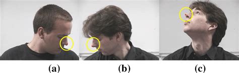 With The Proposed Nose Tip Detection Method The Location Of The Nose