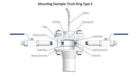 Flushing Ring Diaphragm Seal With Flush Ring For Pressure Transmitter