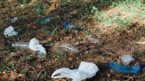 Todd Myers On The Best Approach To Environmental Stewardship Koa 850 Am And 94 1 Fm