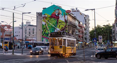 Havaianas X Arlin Graff Empire Ave