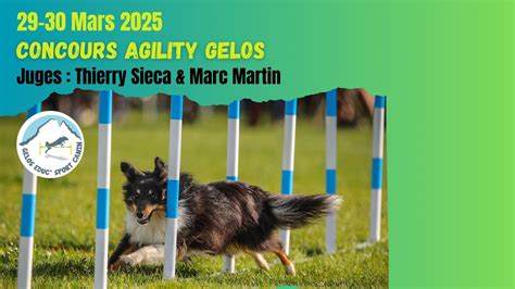 Concours Agility De Gelos Rue De La Saligue Gélos Pau 29 March To 30 March