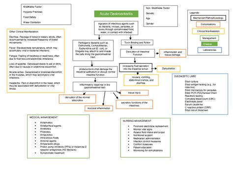 Age Concept Map Acute Gastroenteritis Modifiable Factor Hygiene