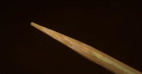 Macro Photos Album On Imgur