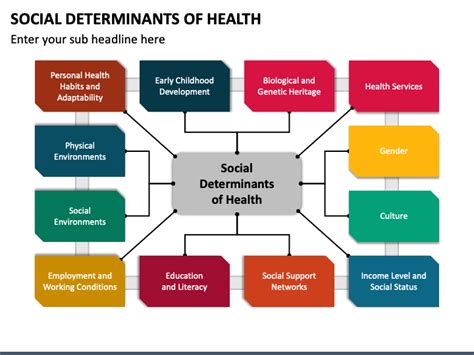 Social Determinants Of Health PowerPoint And Google Slides Template PPT Slides