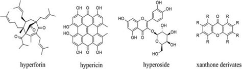 Some Of The Compounds Isolated From The Hypericum Genus Download