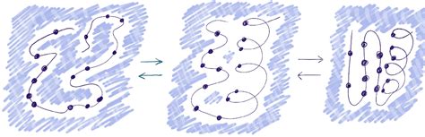 Figure From Introduction To Protein Folding Semantic Scholar