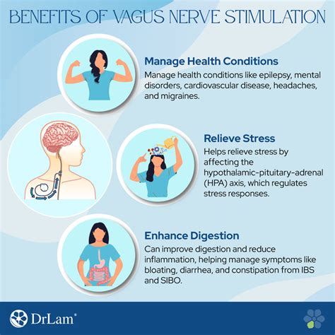 Vagus Nerve Stimulation Benefits And Techniques Lam Clinic