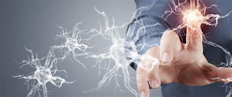 Esclerosis Múltiple Esclerosis Múltiple Información Y Tratamiento