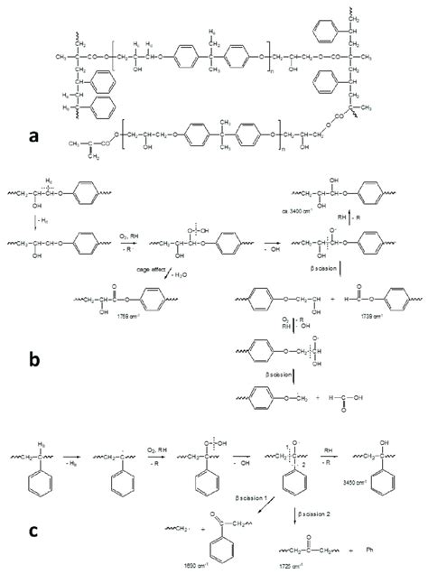 Schematic Structure Of The Epoxy Vinyl Ester Network Showing The Main
