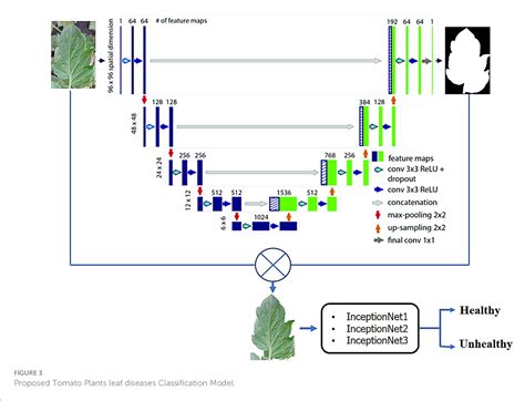 Figure 3 From Deep Learning Based Segmentation And Classification Of