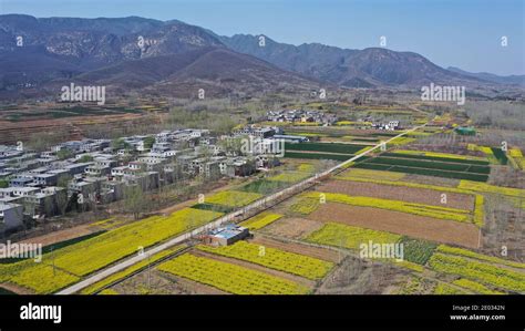 Chinese Rural Landscape Road Through Farmland White Houses Stock