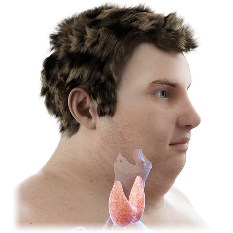 15 Question Underactive Thyroid Quiz Nutreance
