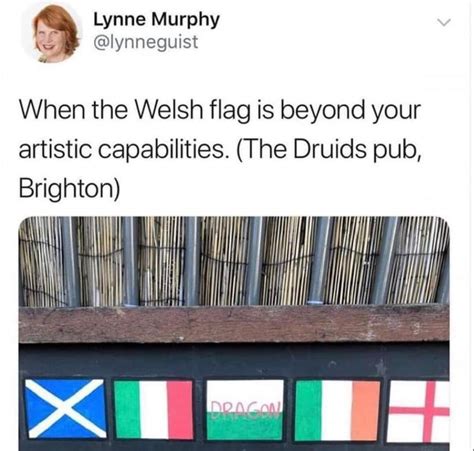 Fuck Welsh Flags Dragon Rfuckyouinparticular
