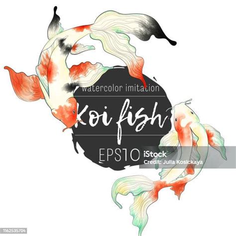 일본 잉어 물고기 손 그리기 수채화 모방 일러스트 컬렉션 아시아 스타일의 화려한 잉어의 클립 아트 비단잉어에 대한 스톡 벡터 아트 및 기타 이미지 Istock