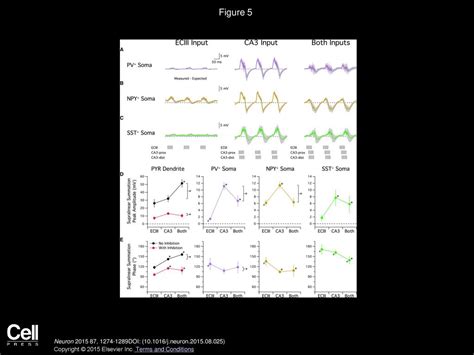 inhibitory gating of input comparison in the ca1 microcircuit ppt