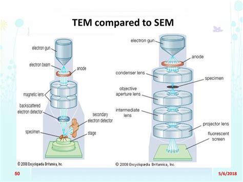 Electron And Probe Microscopy Ppt Download