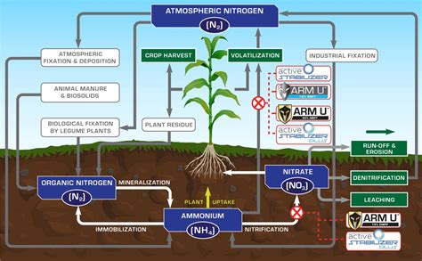 Nitrogen Stabilisers Active Agriscience Australia