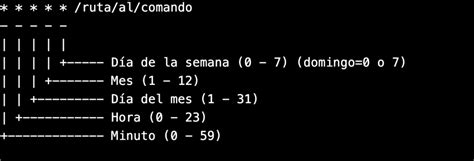 Automatización De Tareas En Linux Con Cron Y Shell Scripting Sudosu