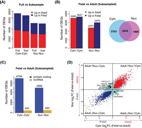 Characterization Of The Nuclear And Cytosolic Transcriptomes In Human